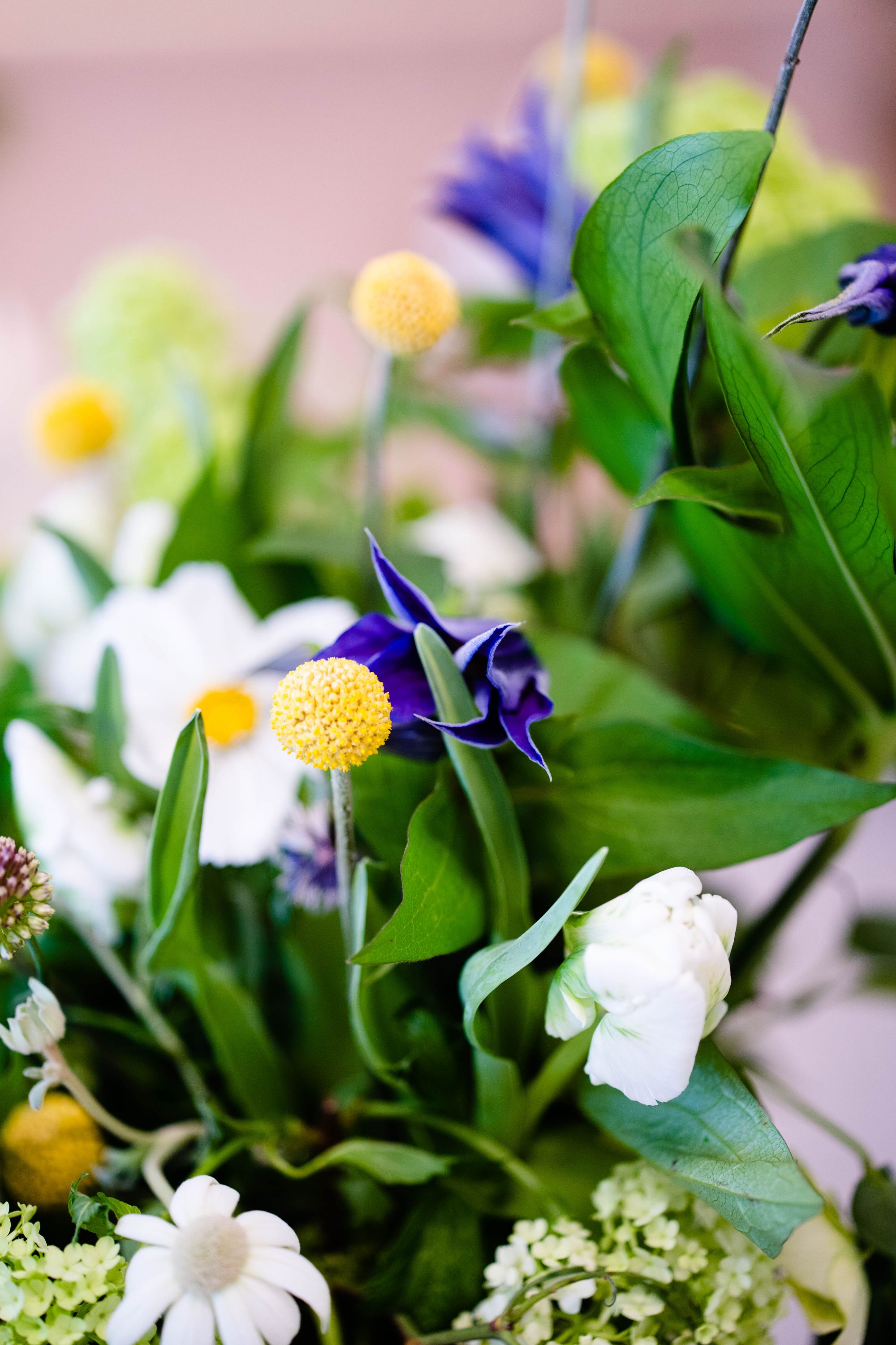 Go Cakes Grand Opening - Akiko Liu Photos